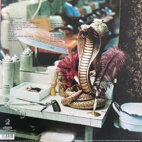 MUDDY WATERS – ELECTRIC MUD – 180-GRAM / COLOR VINYL / GATEFOLD – Get ...